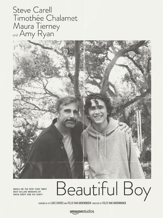 ‘Beautiful Boy’- Movie review. – Mollie Writes